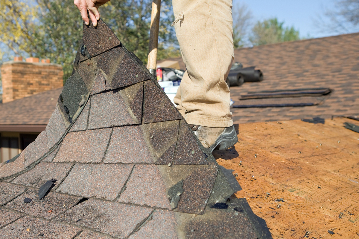Roof Replacement Timeline and What Pinellas County Homeowners Can Expect